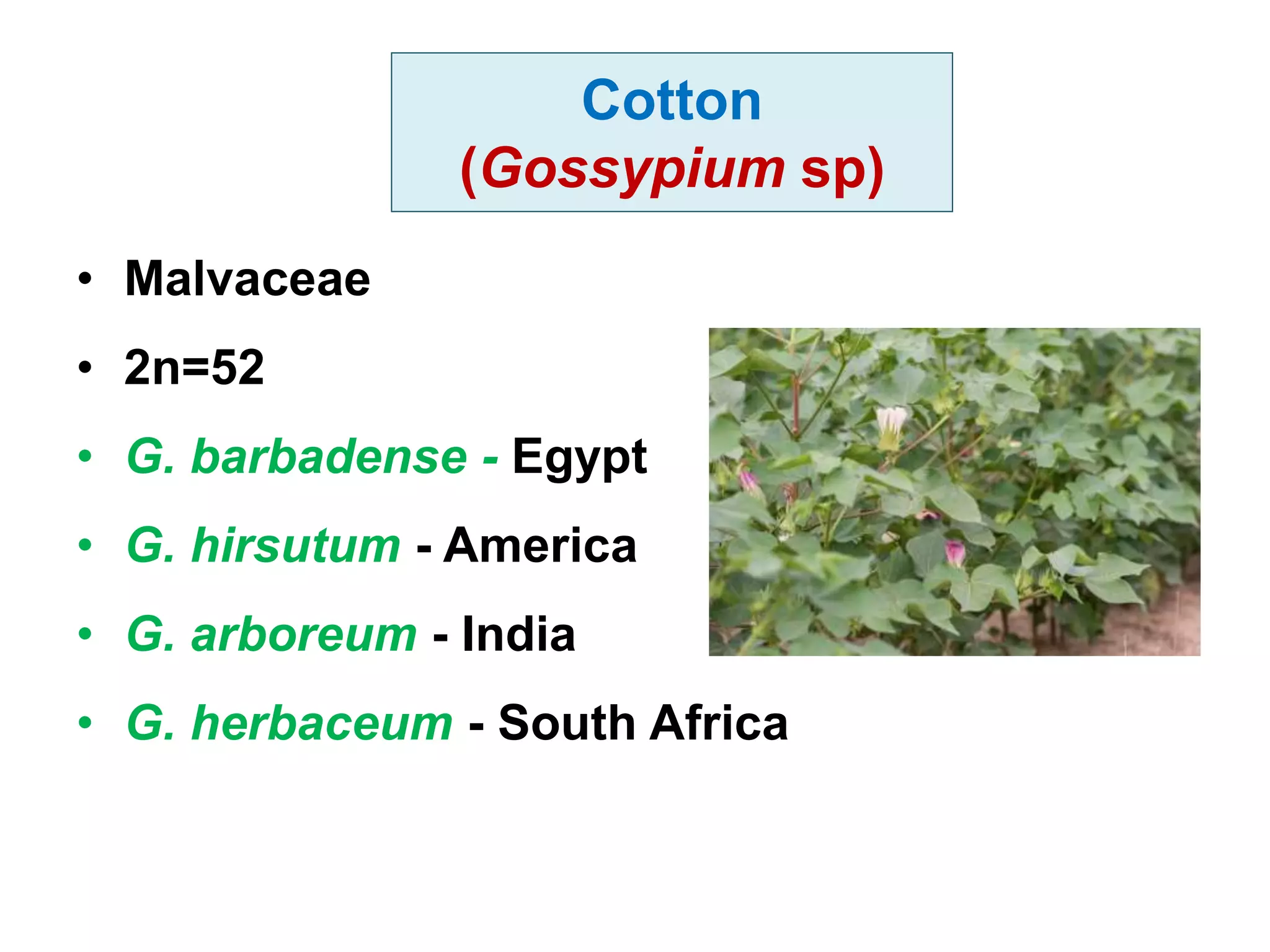 Unit II - Production Technology of cash crops.pptx