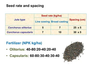 Unit II - Production Technology of cash crops.pptx