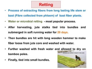 Unit II - Production Technology of cash crops.pptx