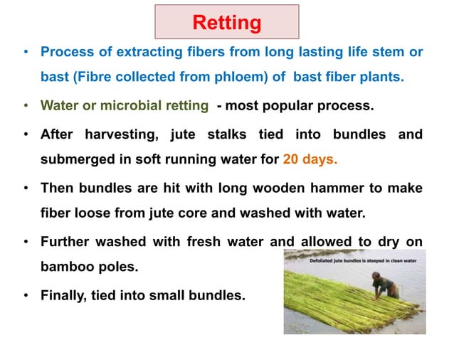 Unit II - Production Technology of cash crops.pptx