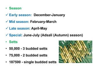 Unit II - Production Technology of cash crops.pptx
