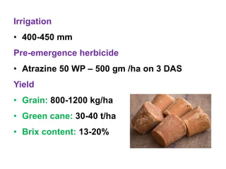 Unit II - Production Technology of cash crops.pptx