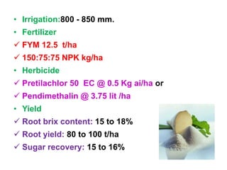 Unit II - Production Technology of cash crops.pptx