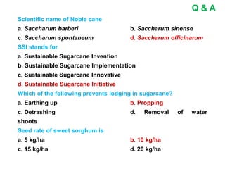 Unit II - Production Technology of cash crops.pptx