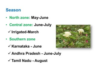 Unit II - Production Technology of cash crops.pptx