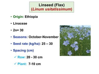 Unit II - Production technology of oilseeds.ppt