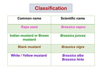 Unit II - Production technology of oilseeds.ppt