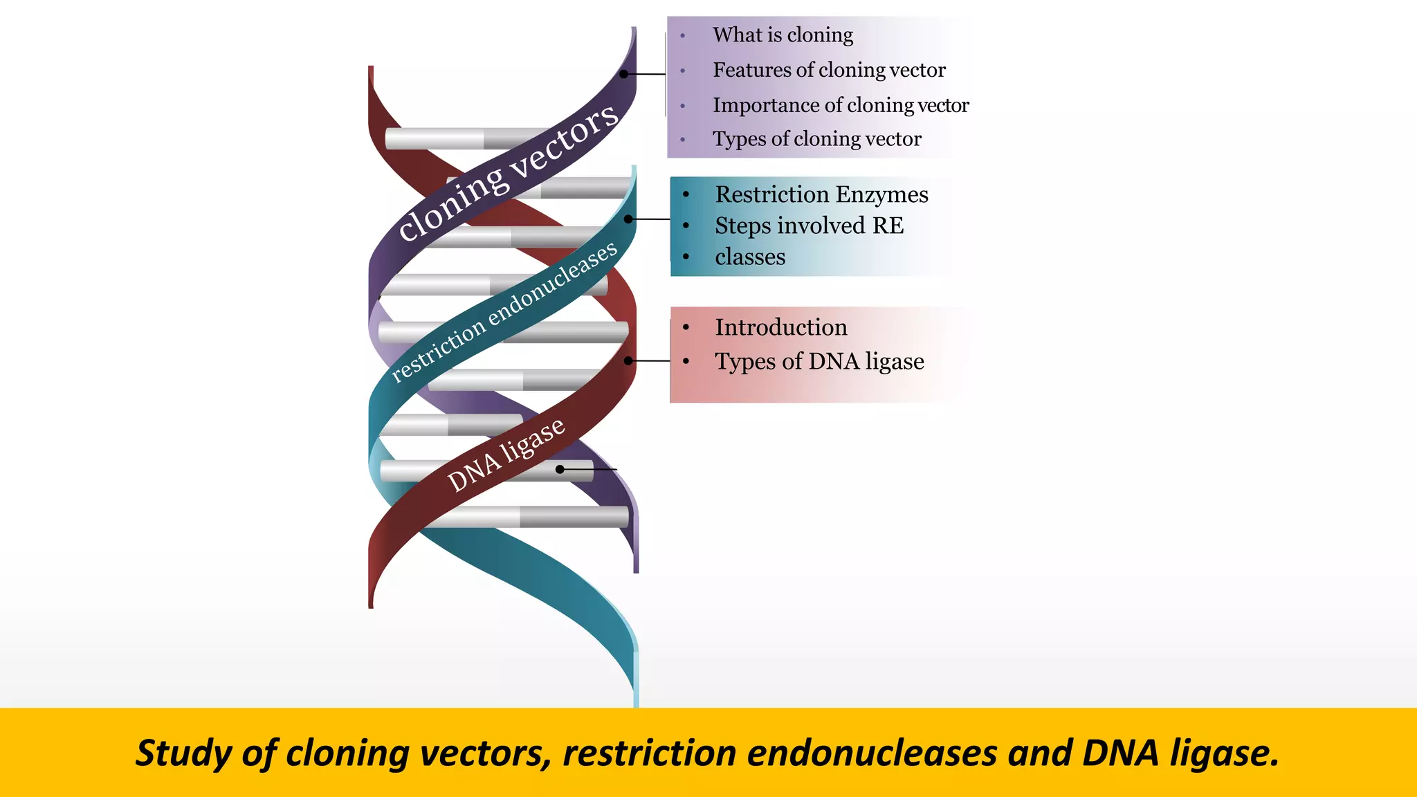 Study of cloning vectors, restriction endonucleases and DNA ligase. | PDF