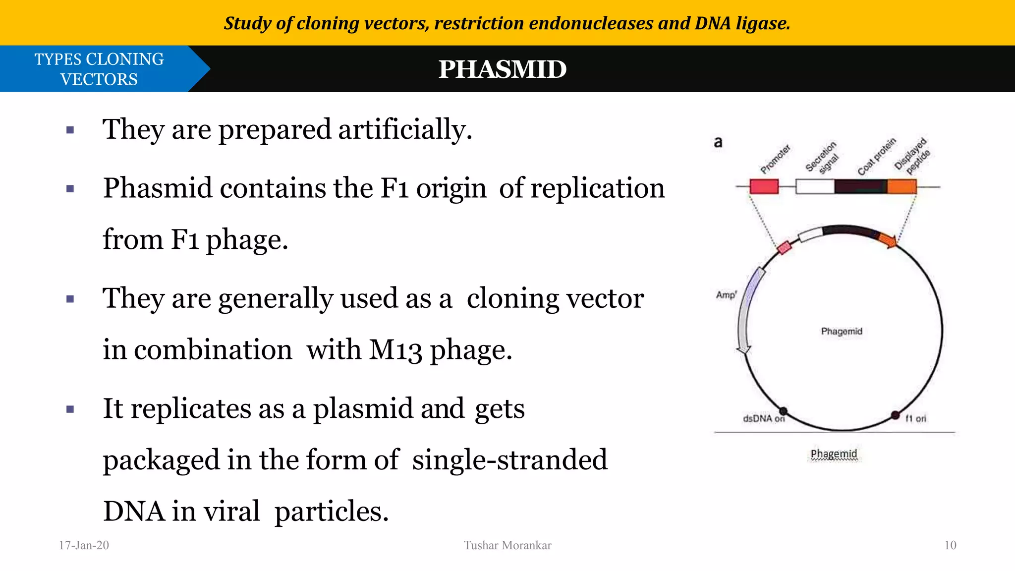 Study of cloning vectors, restriction endonucleases and DNA ligase. | PDF