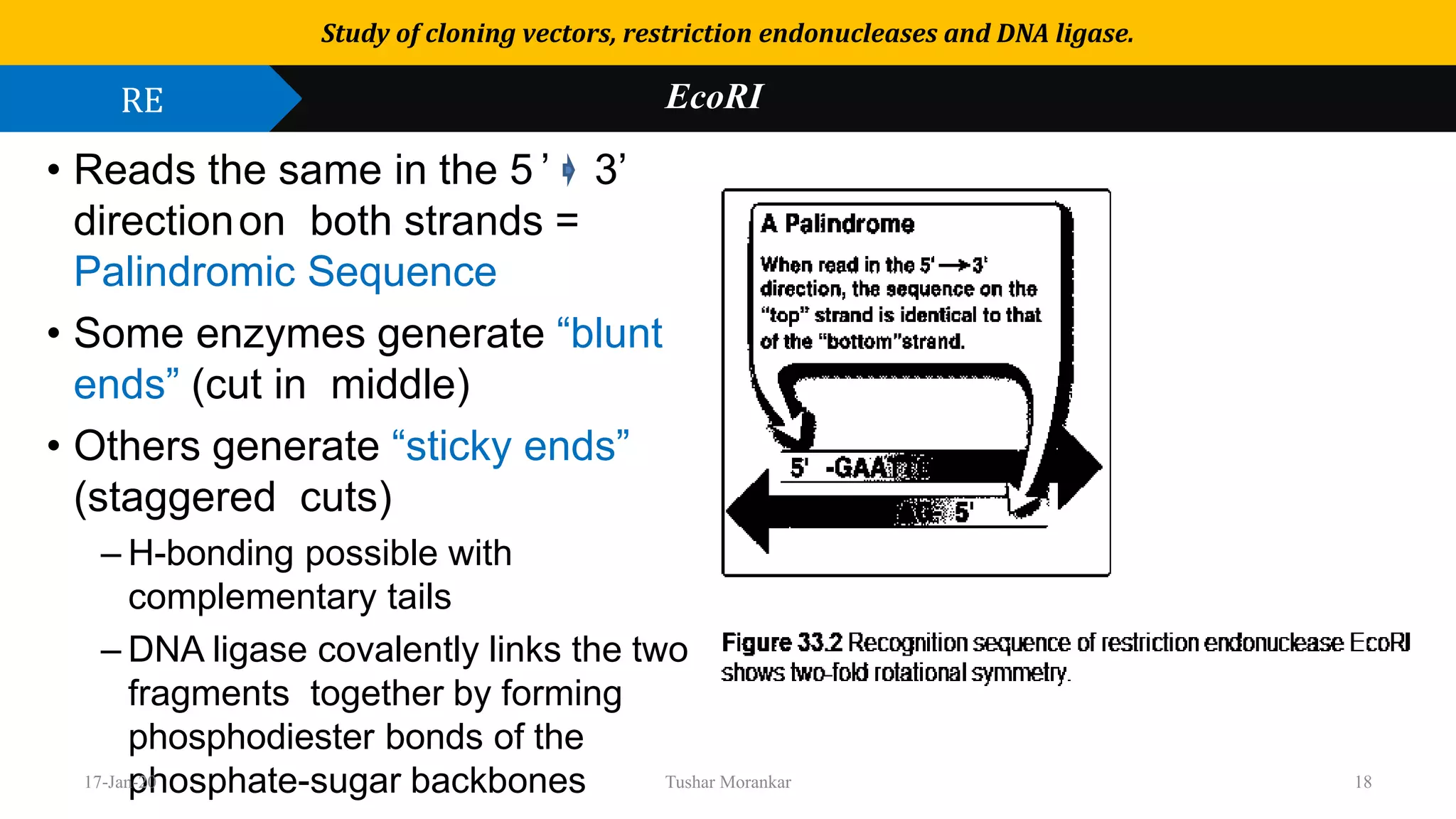 Study of cloning vectors, restriction endonucleases and DNA ligase. | PDF