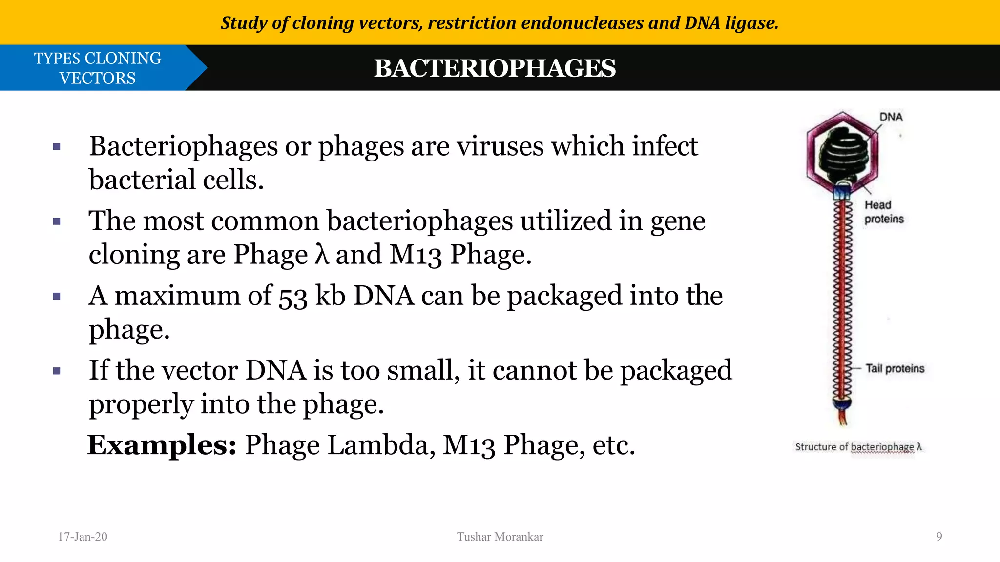 Study of cloning vectors, restriction endonucleases and DNA ligase. | PDF