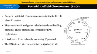 Study of cloning vectors, restriction endonucleases and DNA ligase. | PDF