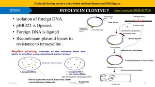 Study of cloning vectors, restriction endonucleases and DNA ligase. | PDF