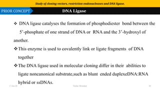 Study of cloning vectors, restriction endonucleases and DNA ligase. | PDF