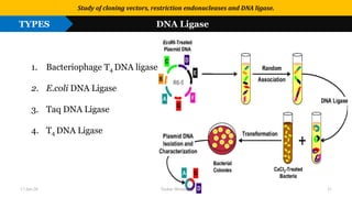 Study of cloning vectors, restriction endonucleases and DNA ligase. | PDF