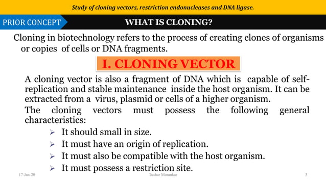 Study of cloning vectors, restriction endonucleases and DNA ligase ...