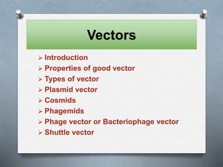 Vector and it's properties , types | PPTX