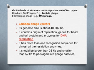 Vector and it's properties , types | PPTX