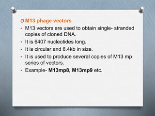 Vector and it's properties , types | PPTX