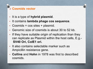 Vector and it's properties , types | PPTX