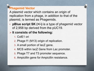 Vector and it's properties , types | PPTX