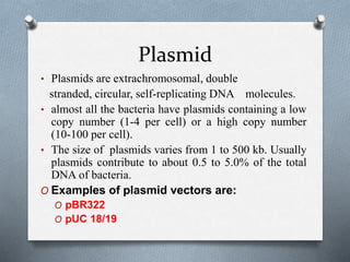 Vector and it's properties , types | PPTX