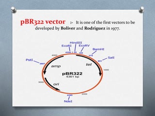 Vector and it's properties , types | PPTX