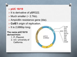 Vector and it's properties , types | PPTX