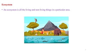 Ecosystem, components, types, food chain | PPTX