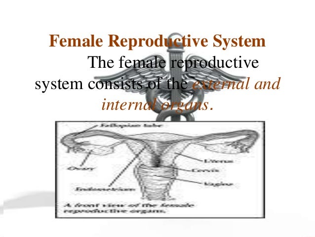 Unit ii health rizal