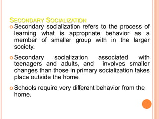 Unit III Soialization | PPTX