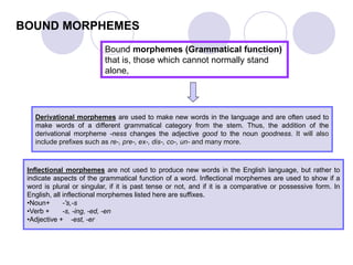 unit III. Morphology.ppt