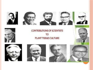 Plant tissue culture & Types of Plant tissue culture | PPTX