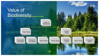 Unit III - Biodiversity (1).pptx