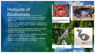 Unit III - Biodiversity (1).pptx