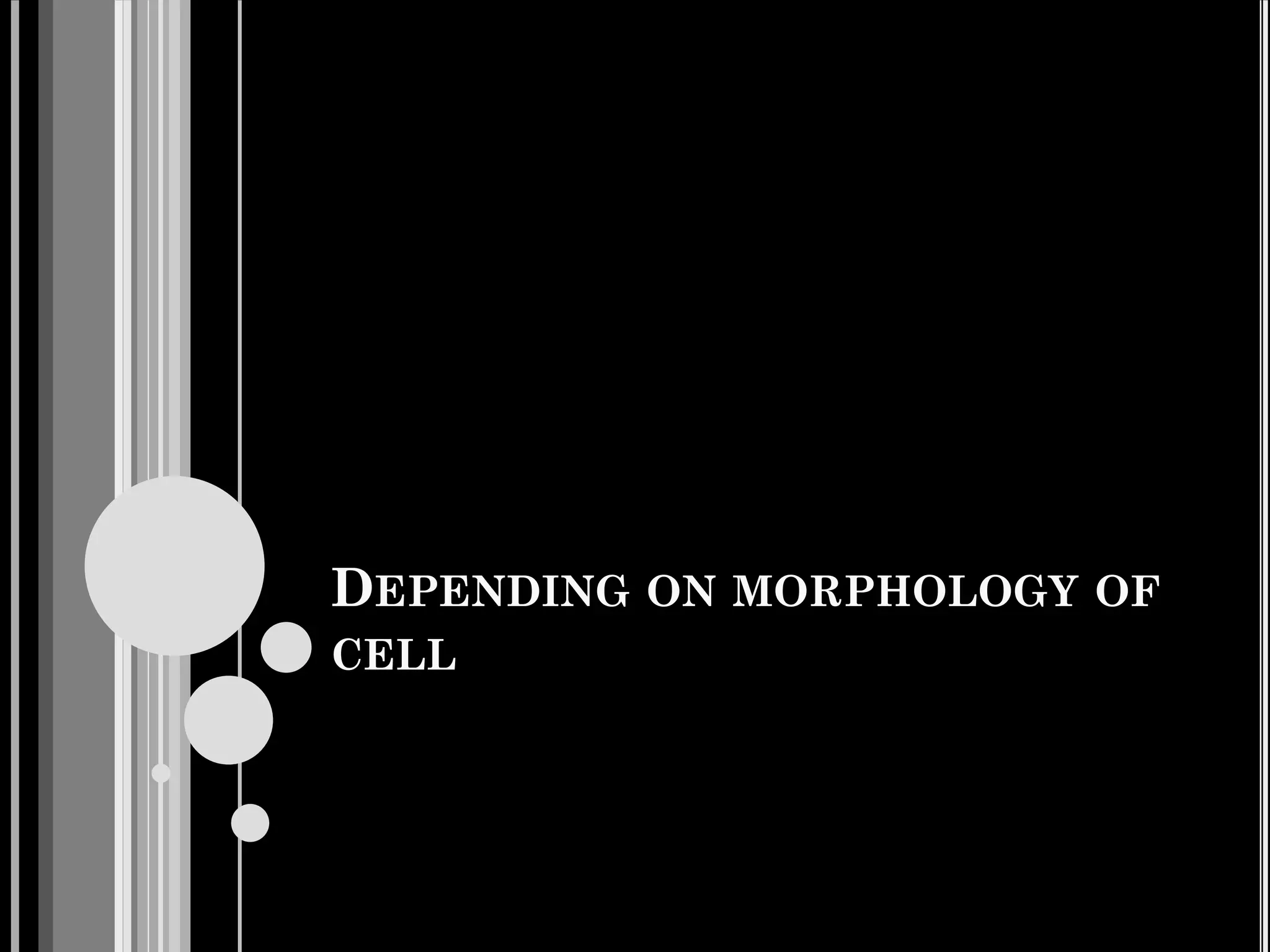 Morphology, Classification, Cultivation and Reproduction of Fungi | PDF