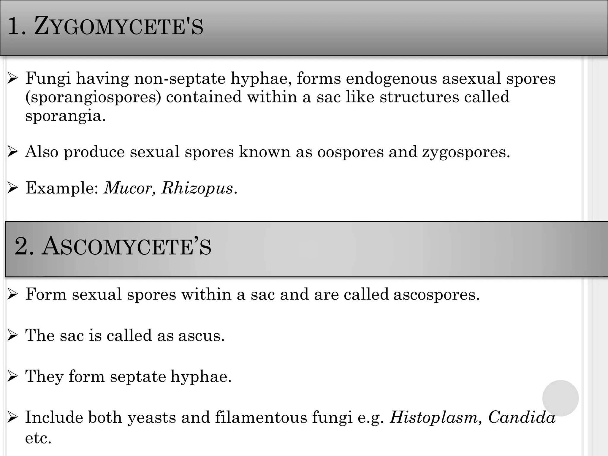 Morphology, Classification, Cultivation and Reproduction of Fungi | PDF