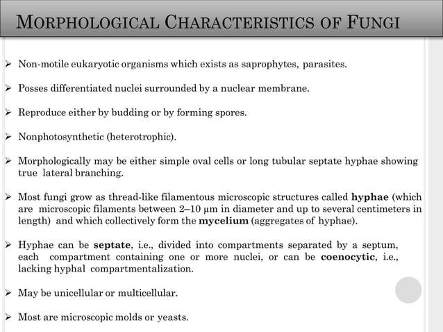 Morphology, Classification, Cultivation and Reproduction of Fungi | PDF ...