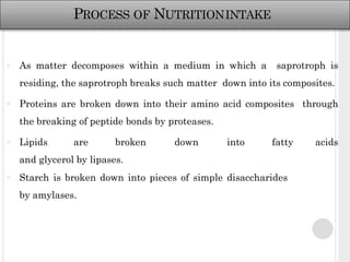 Morphology, Classification, Cultivation and Reproduction of Fungi | PDF
