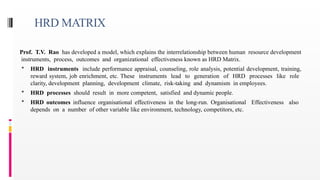 Unit Three - Human resource Matrix.pptx