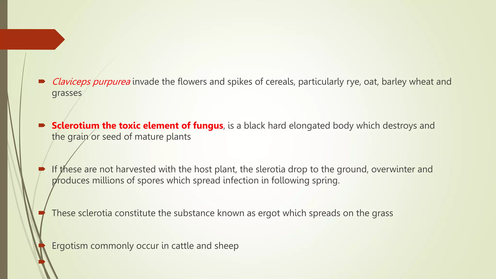 Unit_III-_Lecture_3._Ergotoxins.pptx