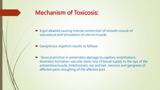 Unit_III-_Lecture_3._Ergotoxins.pptx