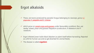 Unit_III-_Lecture_3._Ergotoxins.pptx
