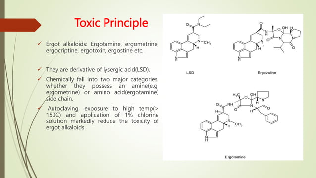 Unit_III-_Lecture_3._Ergotoxins.pptx