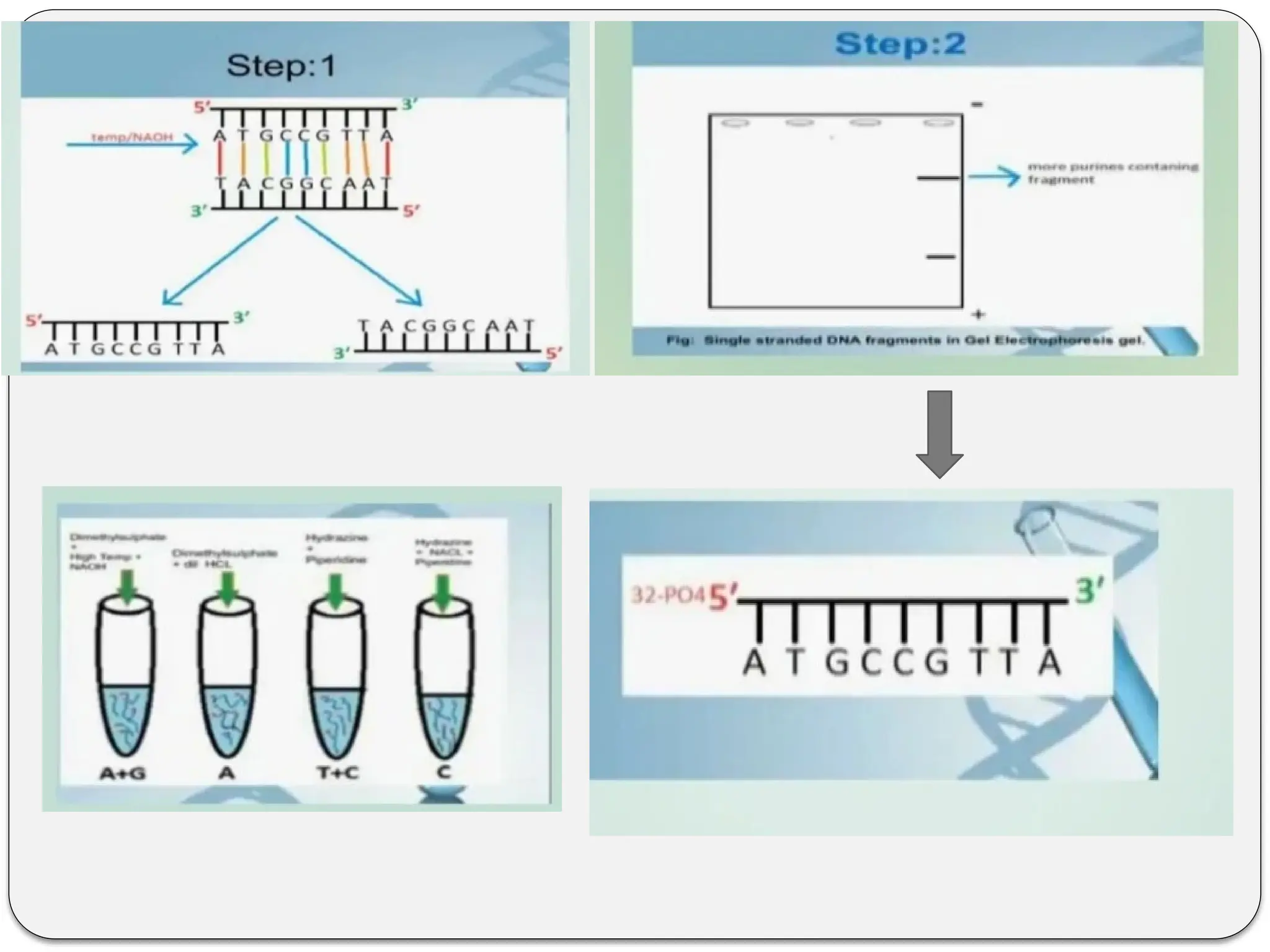 Unit III -rDNA -DNA sequencing methods.pptx
