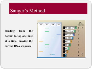Unit III -rDNA -DNA sequencing methods.pptx