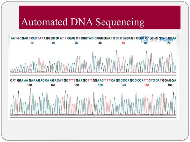 Unit III -rDNA -DNA sequencing methods.pptx