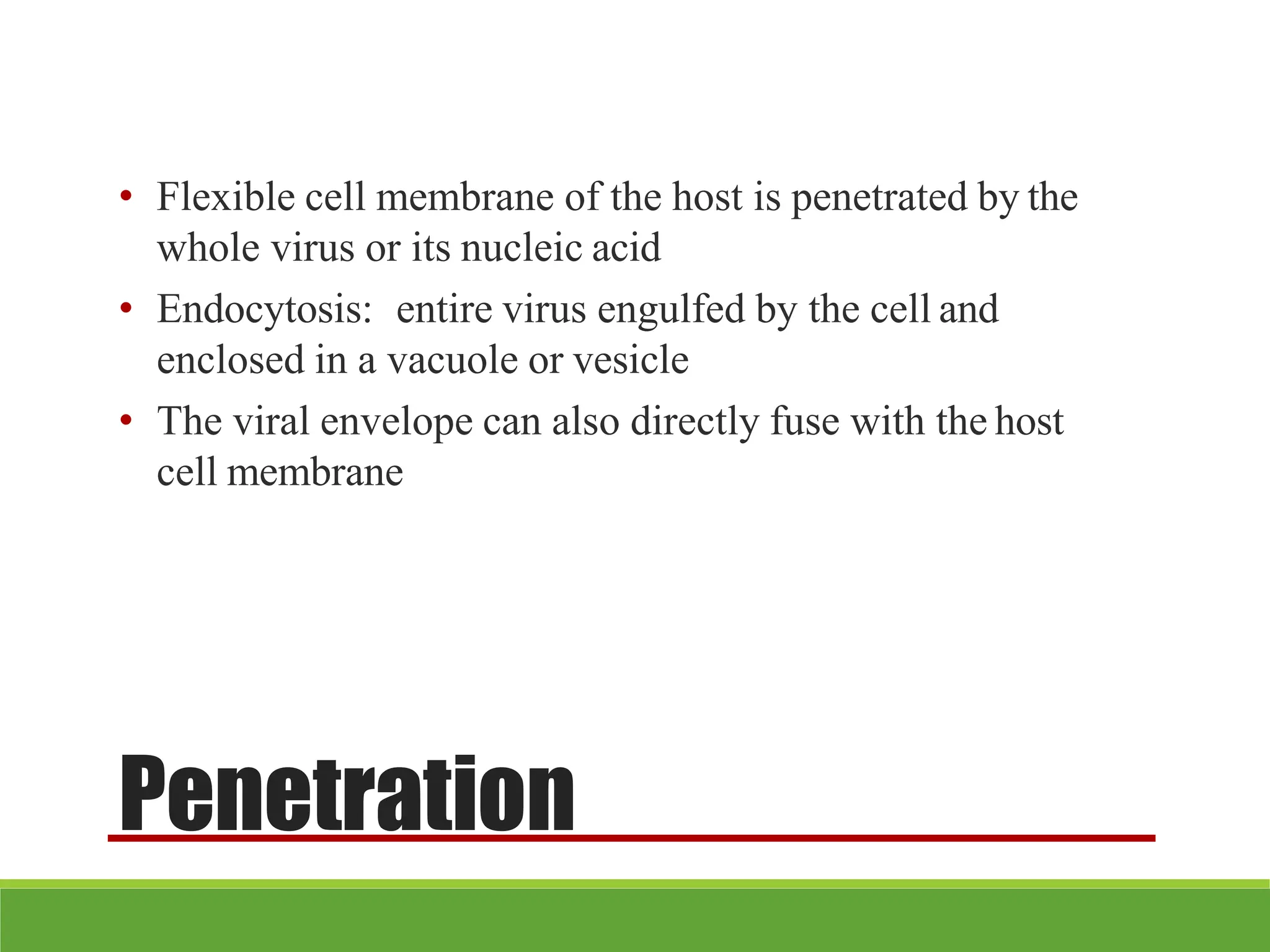 morphology of virus and classification.. | PPTX