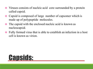 Morphology, Classification, Cultivation and Replication of Virus | PPTX