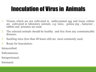 Morphology, Classification, Cultivation and Replication of Virus | PPTX